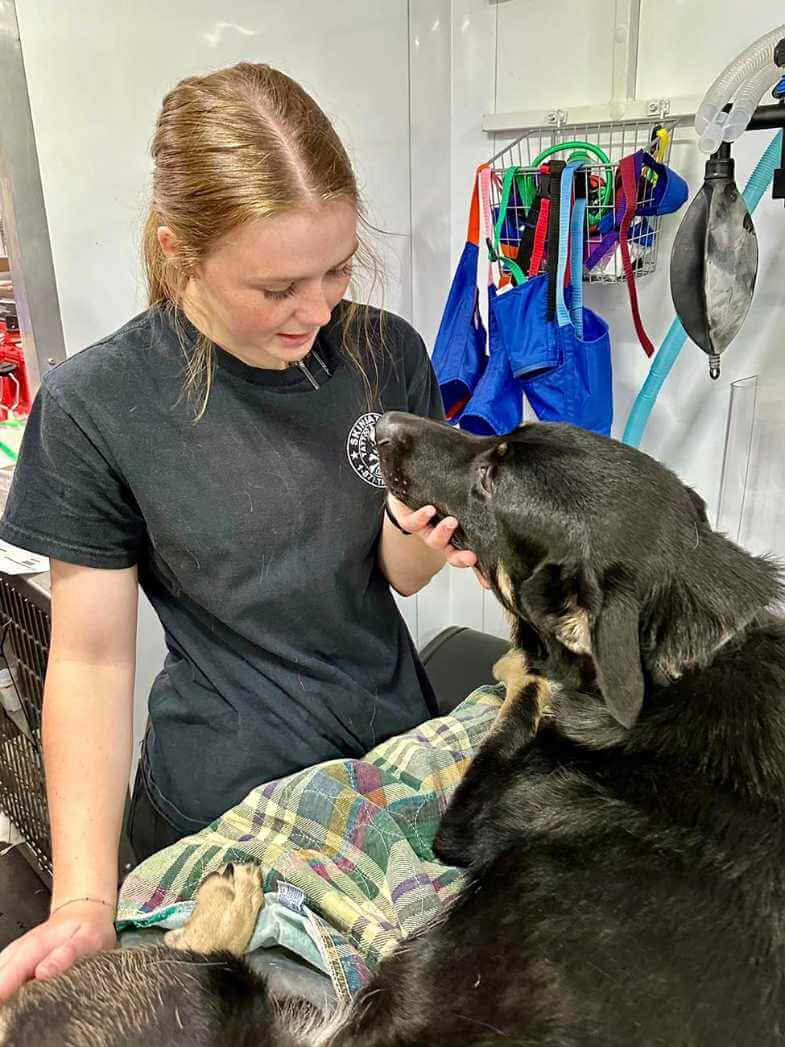 Services | Kansas Humane Society